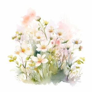 9 Watercolor Meadow Flowers Clipart - Watercolor White Floral Clipart ...