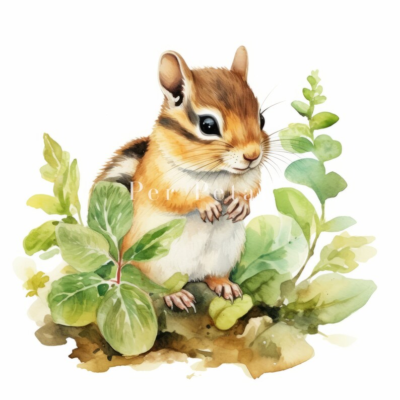 9 Watercolor Chipmunk Clipart Watercolor Woodland Animal - Etsy