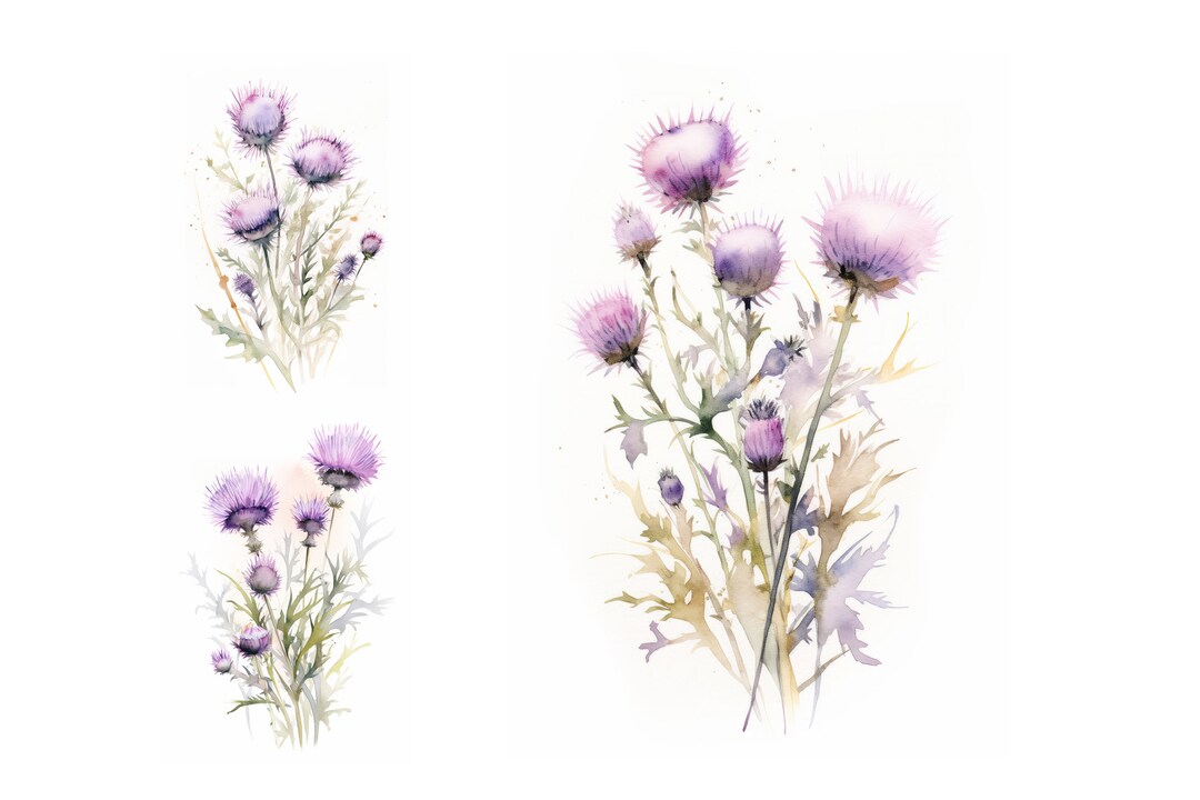 9 Watercolor Thistle Clipart - Meadow Clipart - Card Making Mixed Media ...