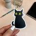 Spooky Black Cat, Cute Sticker for Laptop, Iphone, Water Bottle - Etsy
