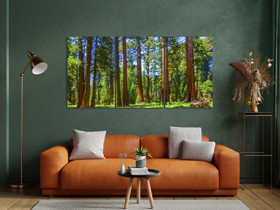 Nature Landscape Photography Art PANORAMIC WALL ART Evergreen Forest ...