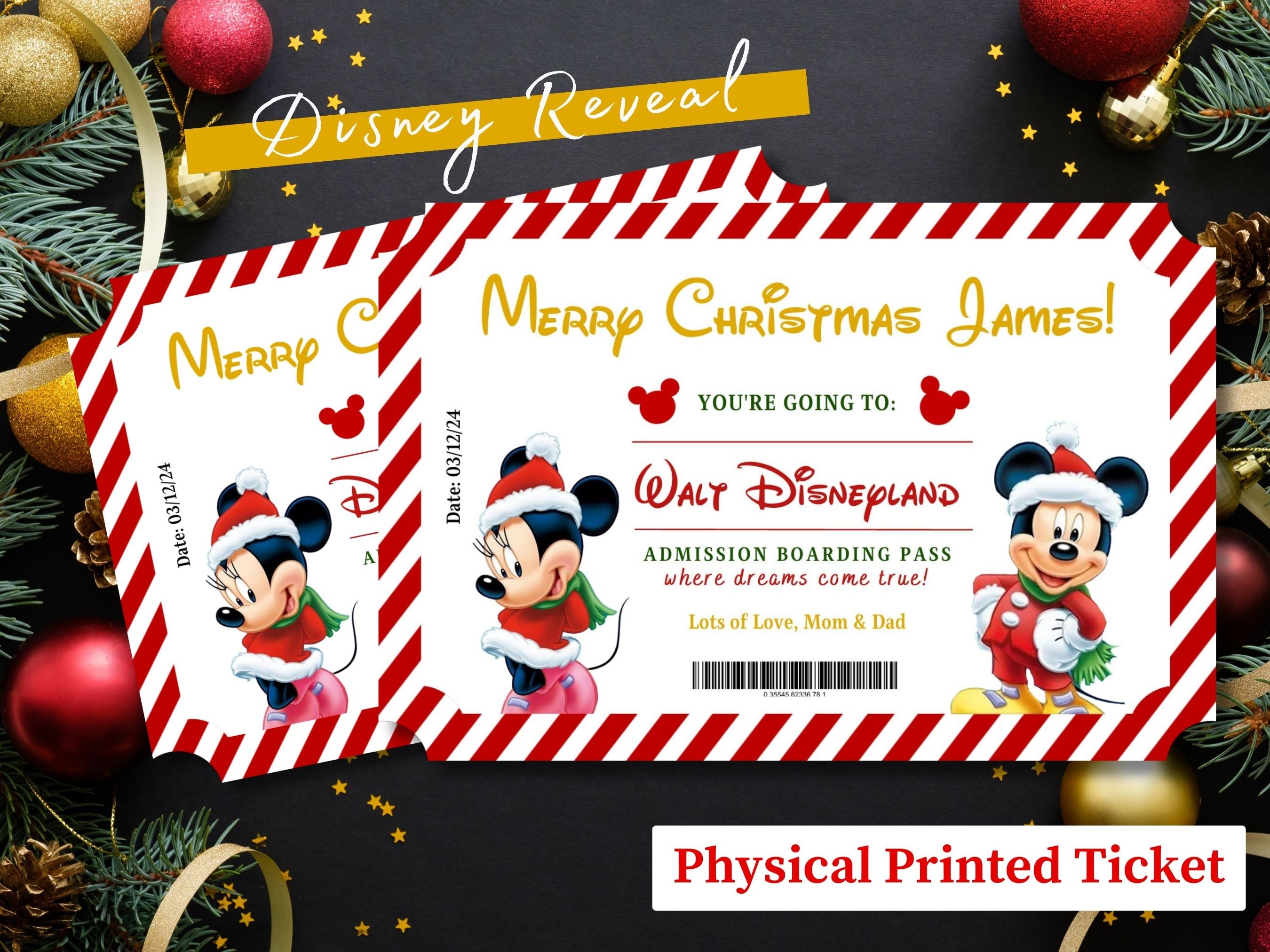 Personalized Christmas Disneyworld Ticket Theme Park Surprise Reveal ...