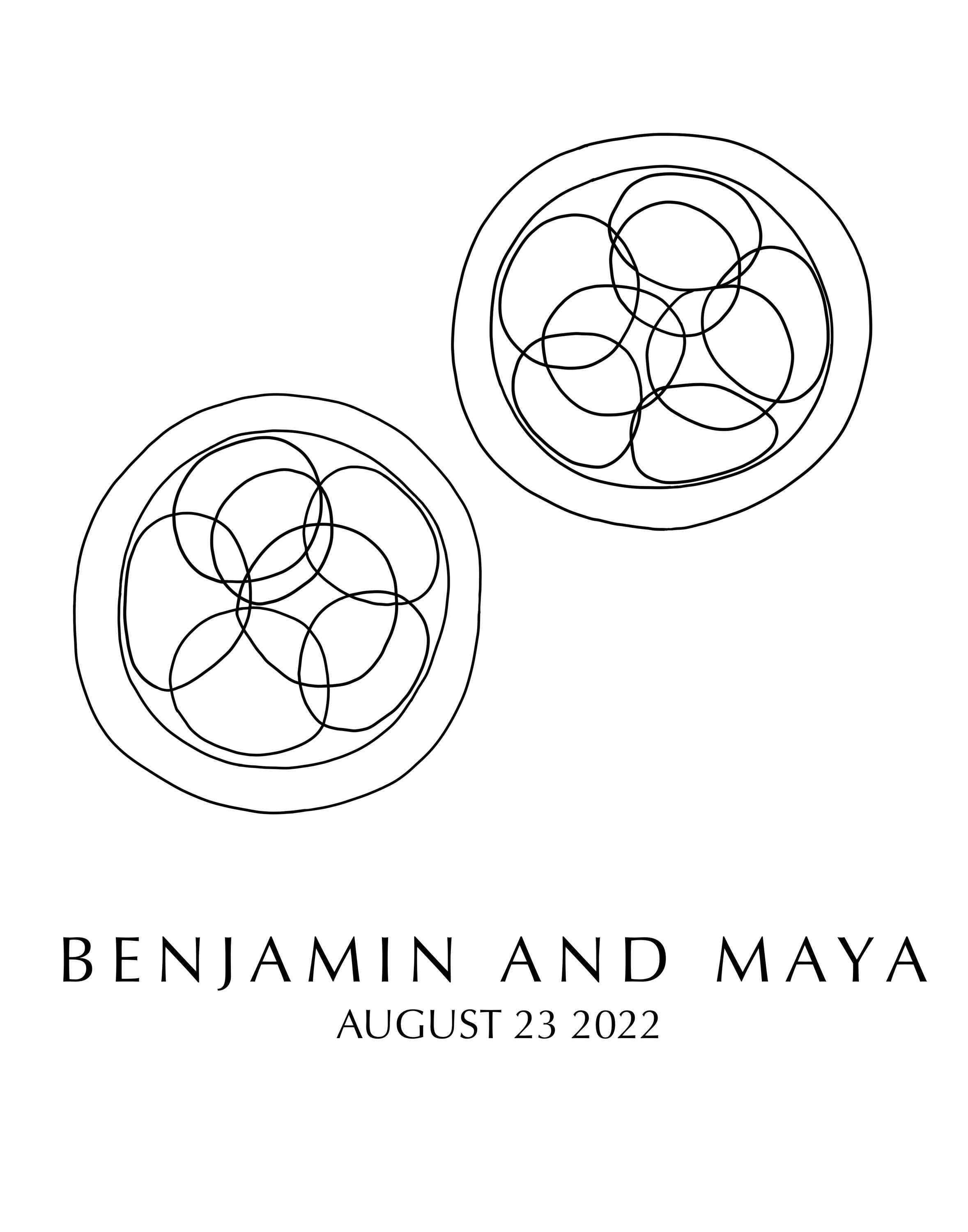 Custom Digital Embryo Print, Custom Embryo Line Drawing, Embryo Art ...