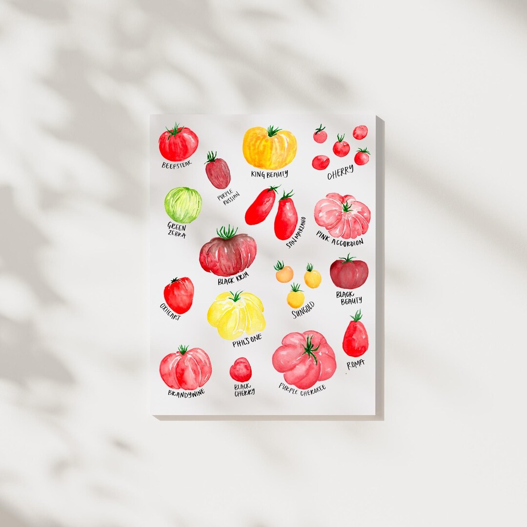 Tomato Print, Watercolor Tomato Painting, Heirloom Tomatoes, Watercolor Painting, Painting ...