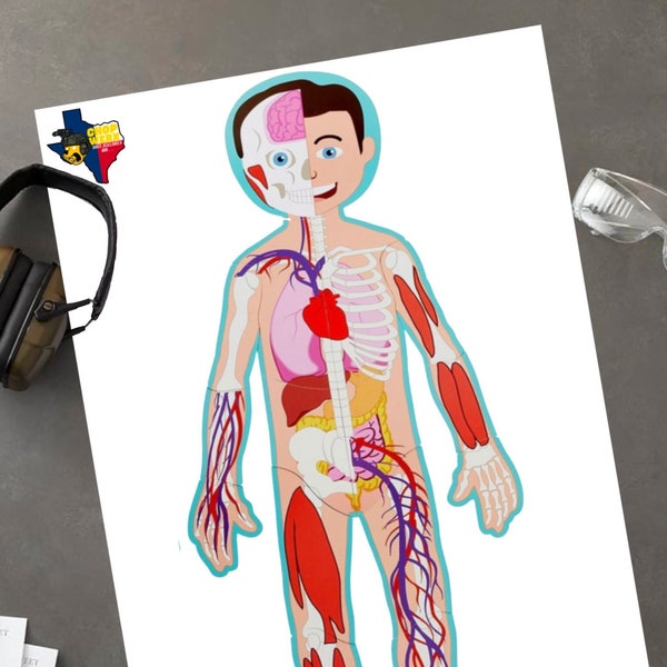 Paper Targets - Etsy