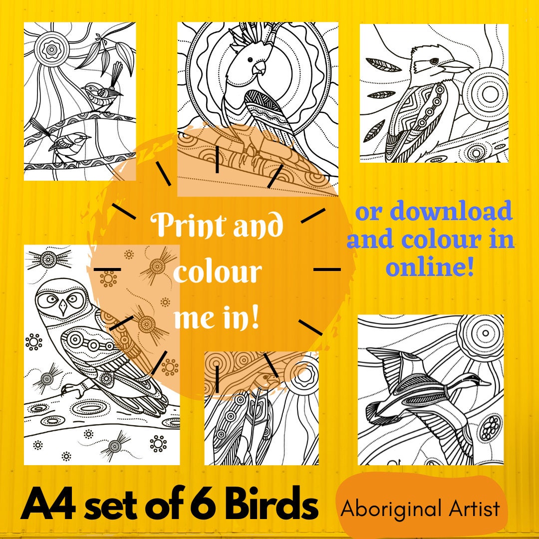 Australian Birds - Colouring in Pages - Etsy