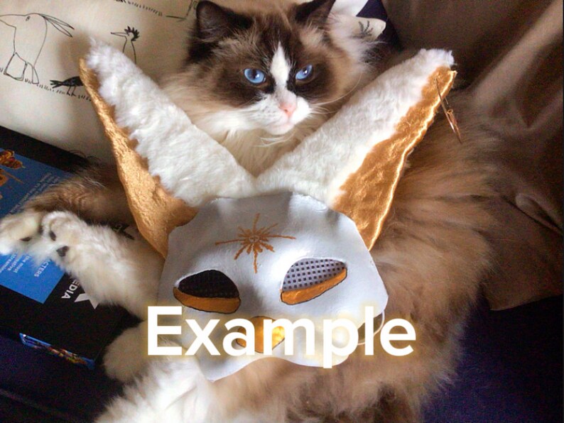 Custom Therain Masks READ DESCRIPTION - Etsy Australia