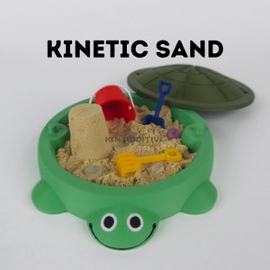 Mini Turtle Sandbox – 90s Nostalgia Desktop Zen Garden With Tools (4.5 ...