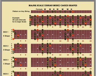Major Scale CAGED. for Guitar. All 5 Positions. Printable Digital ...