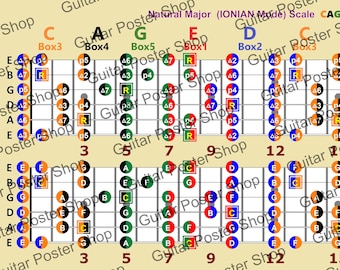 Guitar Minor Scale CAGED Shapes - Etsy
