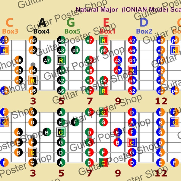 Guitar Major Scale CAGED Shapes - Etsy