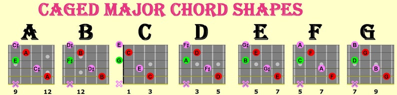 Major Chords - CAGED Shapes or Forms for 6 String Guitar - Etsy