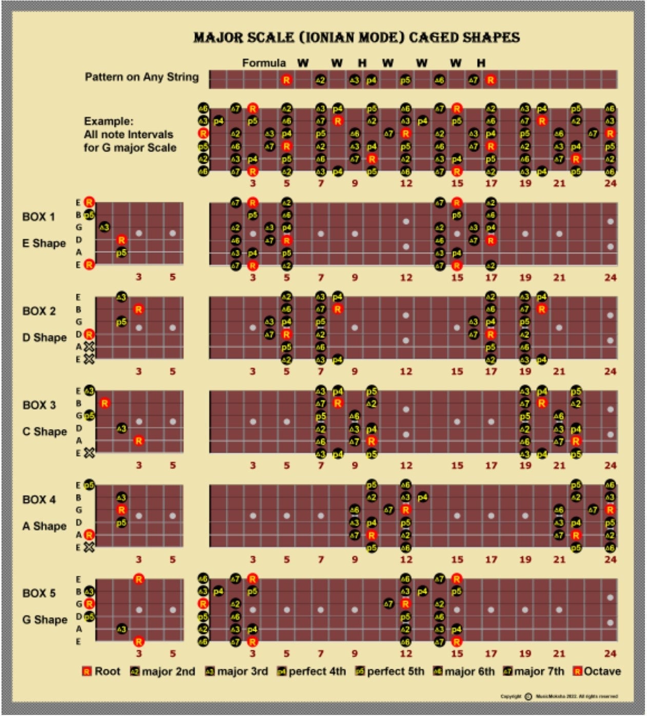 Guitar Major Scale - CAGED Shapes - Etsy