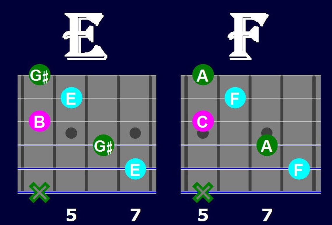 Major Chords CAGED Shapes or Forms for 6 String Guitar - Etsy