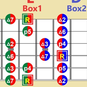 Major Scale CAGED Patterns Color Coded Chart - Etsy