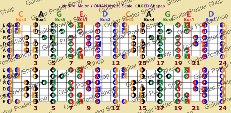 Major Scale CAGED Patterns Color Coded Chart - Etsy