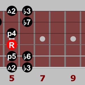 Guitar Minor Scale - CAGED Shapes - Etsy