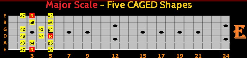 Guitar Major Scale - CAGED Shapes - Etsy