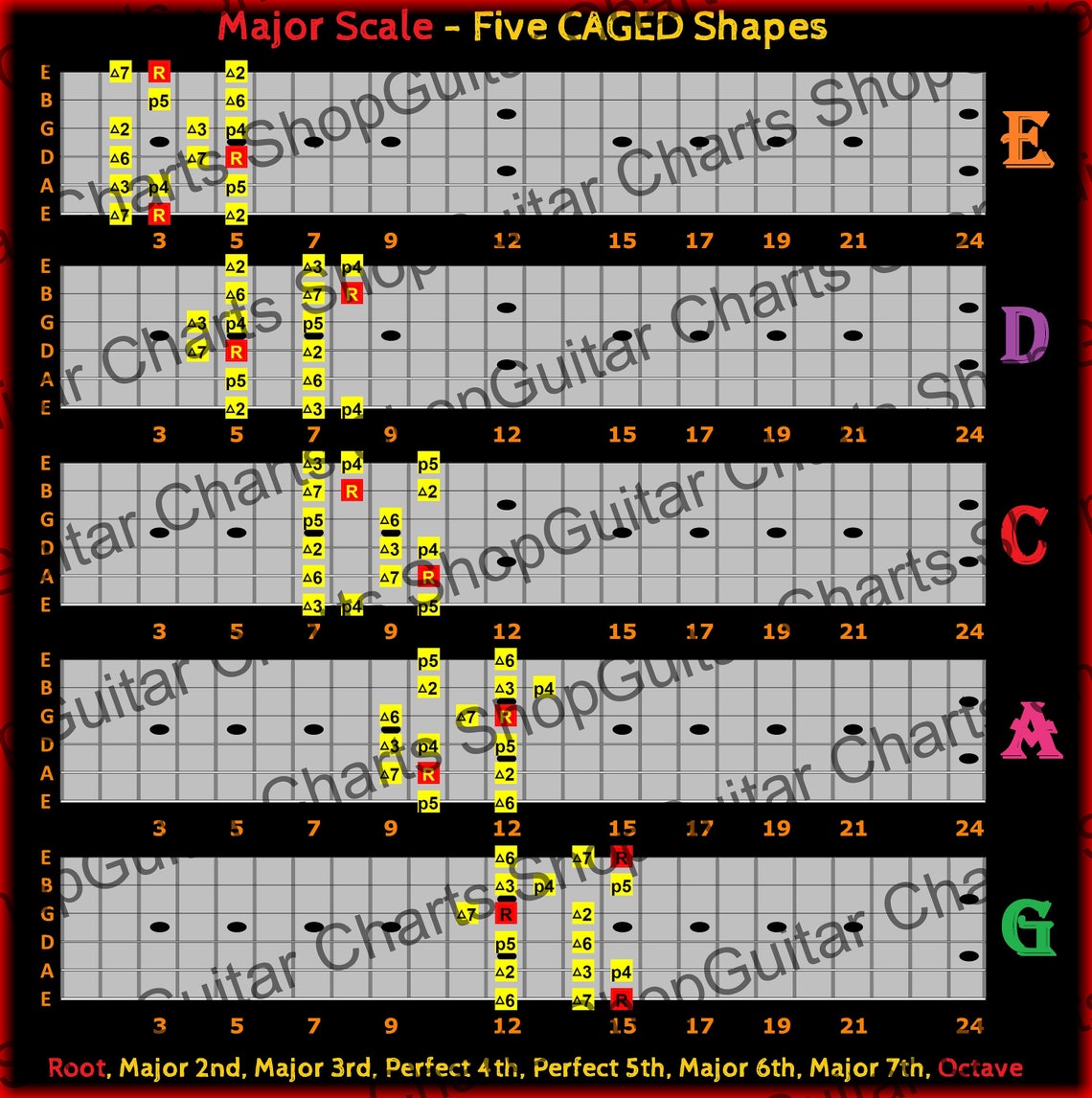 Guitar Major Scale - CAGED Shapes - Etsy