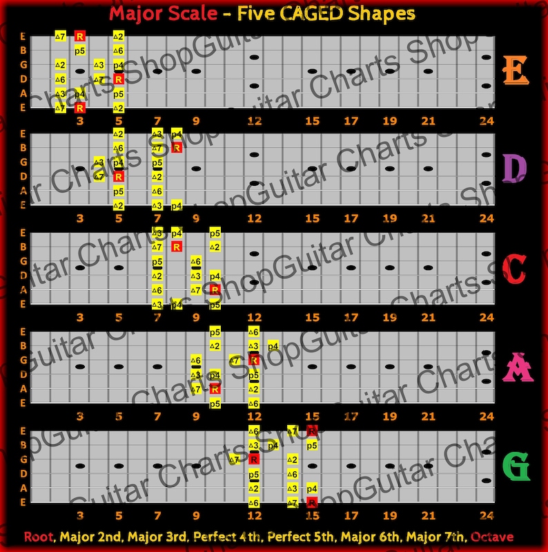 Guitar Major Scale - CAGED Shapes - Etsy