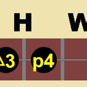 Guitar Major Scale - CAGED Shapes - Etsy