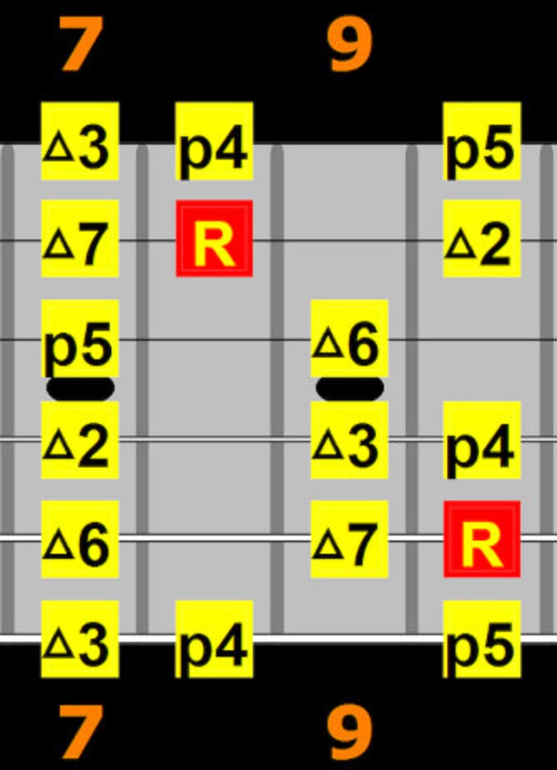 Guitar Major Scale - CAGED Shapes - Etsy