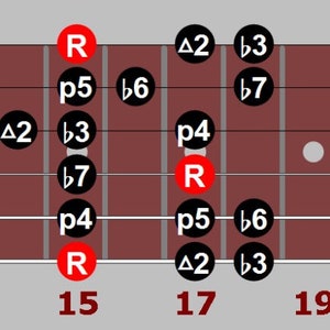 Guitar Minor Scale - CAGED Shapes - Etsy