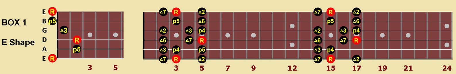 Guitar Major Scale - CAGED Shapes - Etsy