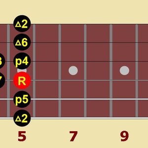 Guitar Major Scale - CAGED Shapes - Etsy