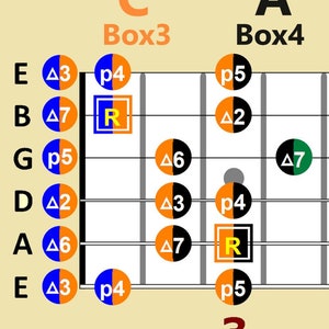 Major Scale CAGED Patterns Color Coded Chart - Etsy
