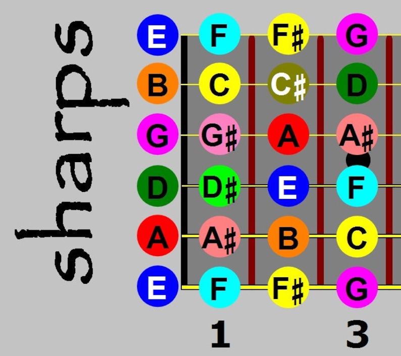 Notes on 24 Fret Guitar Neck - Sharps & Flats - Etsy