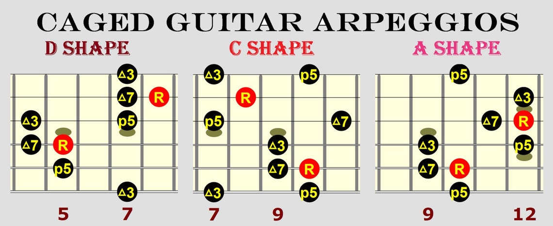 Guitar Arpeggios - CAGED Shapes or Forms - Etsy