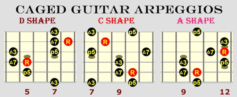 Guitar Arpeggios - CAGED Shapes or Forms - Etsy