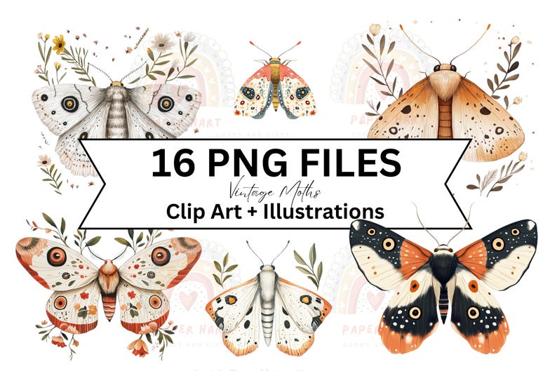 Moth Clip Art Illustrations, Vintage Moth Butterfly Illustrations for T ...
