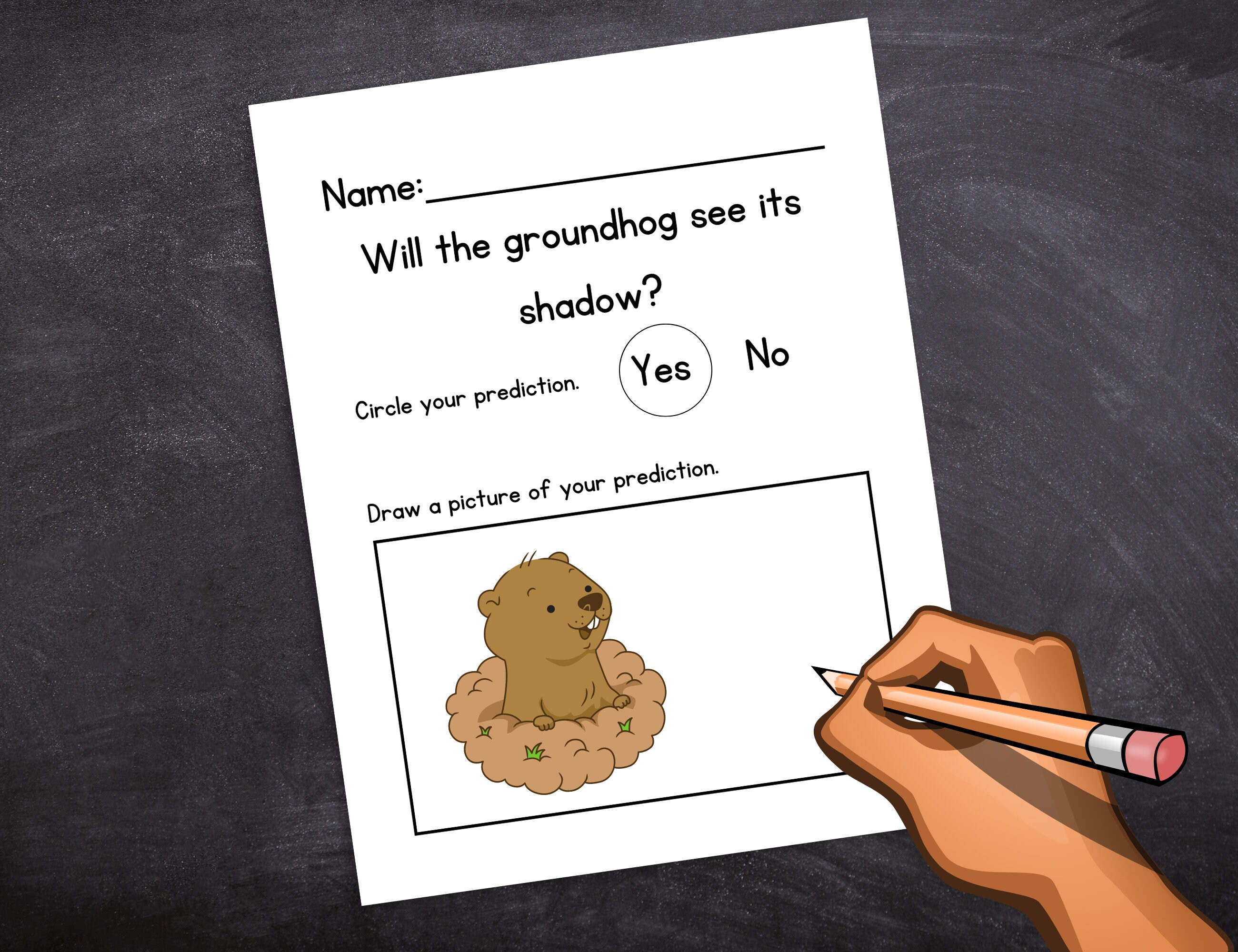 Groundhog Day Prediction Worksheet, February Kids Printable (PDF ...