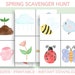 Spring Scavenger Hunt Printable, Spring Game for Kids, Spring Game for ...