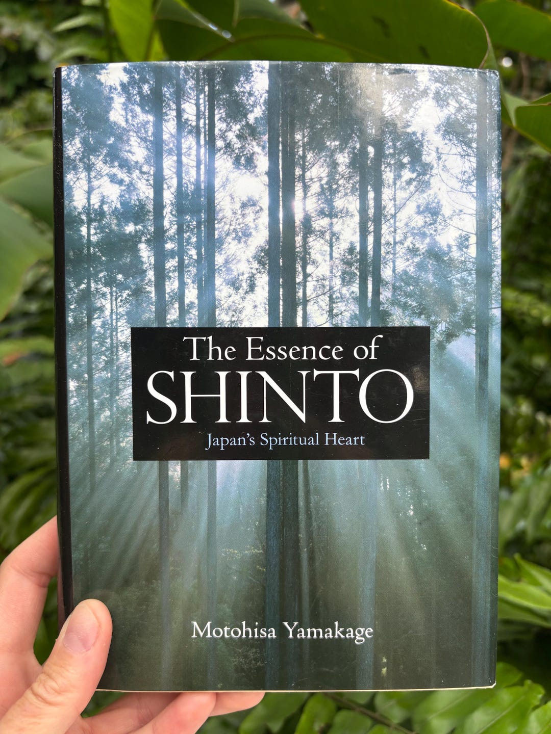The Essence of Shinto by Motohisa Yamakage Hardcover Spiritual History ...