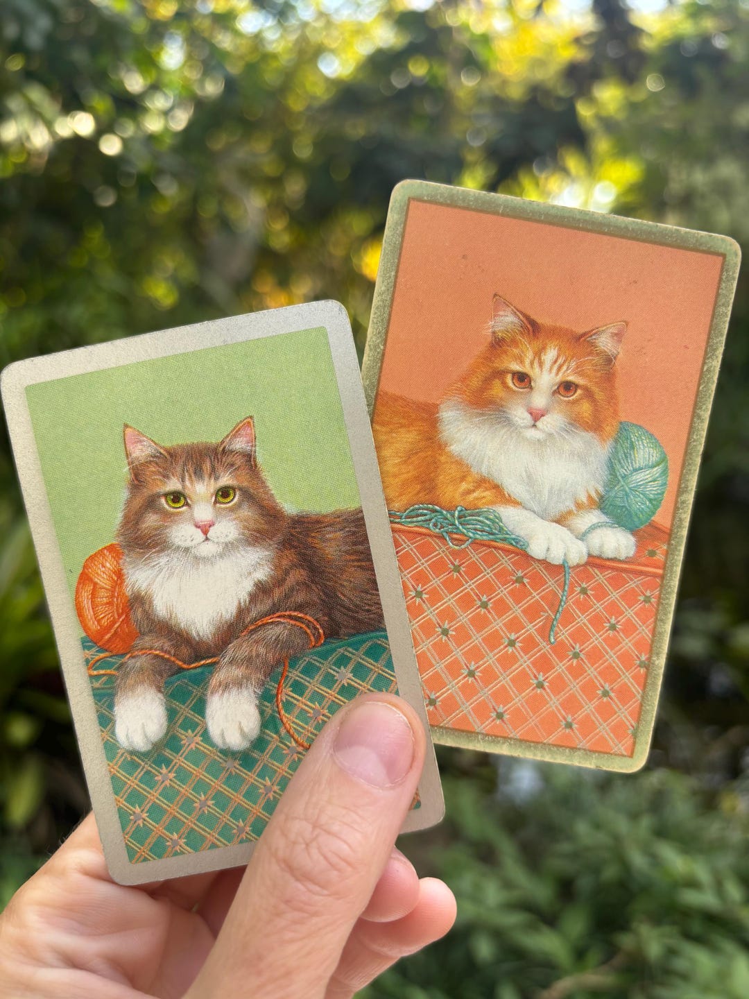 Congress Cat Playing Card Vintage Set With Red Box. 2 Vintage Card ...