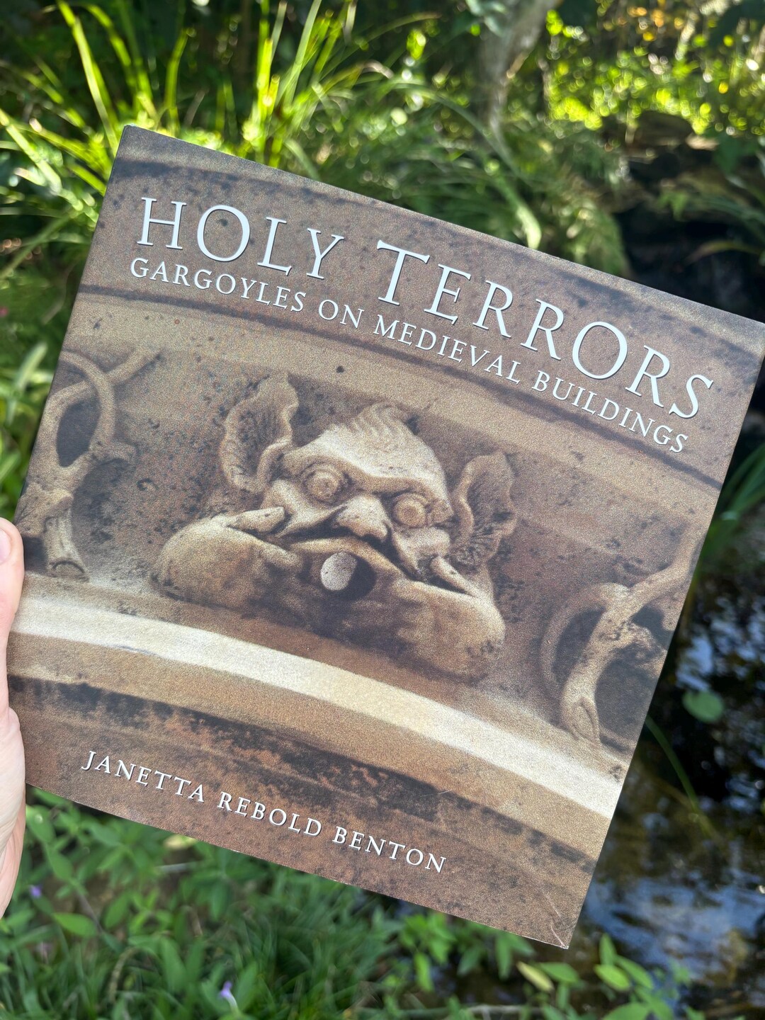 First Edition Holy Terrors Gargoyles on Medieval Buildings Hardcover Art Book - Etsy