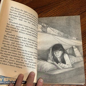 Fourth Grade Rats and There's A Hamster in My Lunch Box Vintage 1990s ...