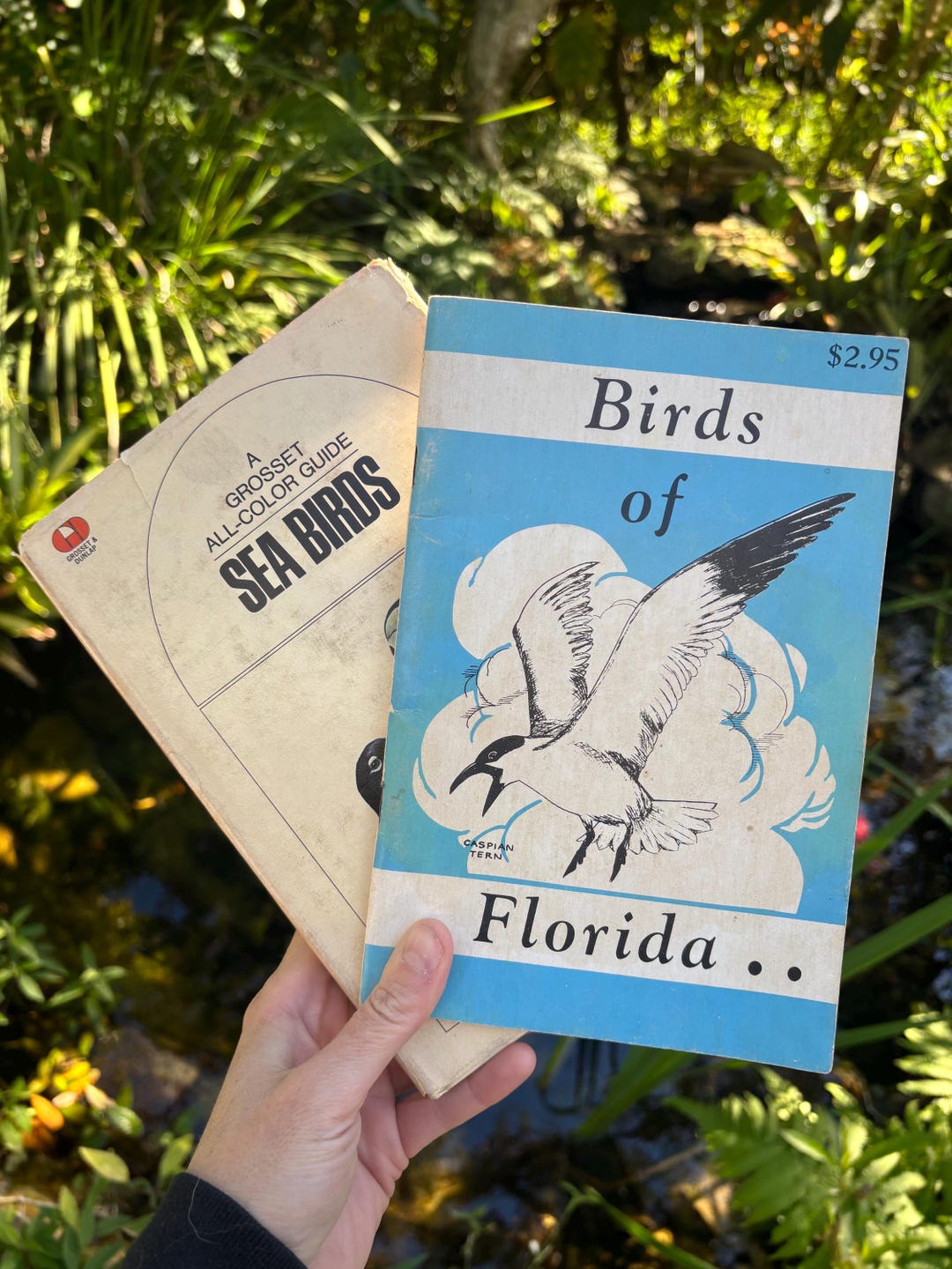 Vintage Copy Birds of Florida and Grosset Guide to Sea Birds ...