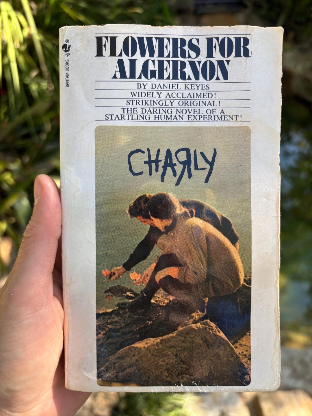 1975 Edition Flowers for Algernon by Daniel Keys Paperback Book - Etsy
