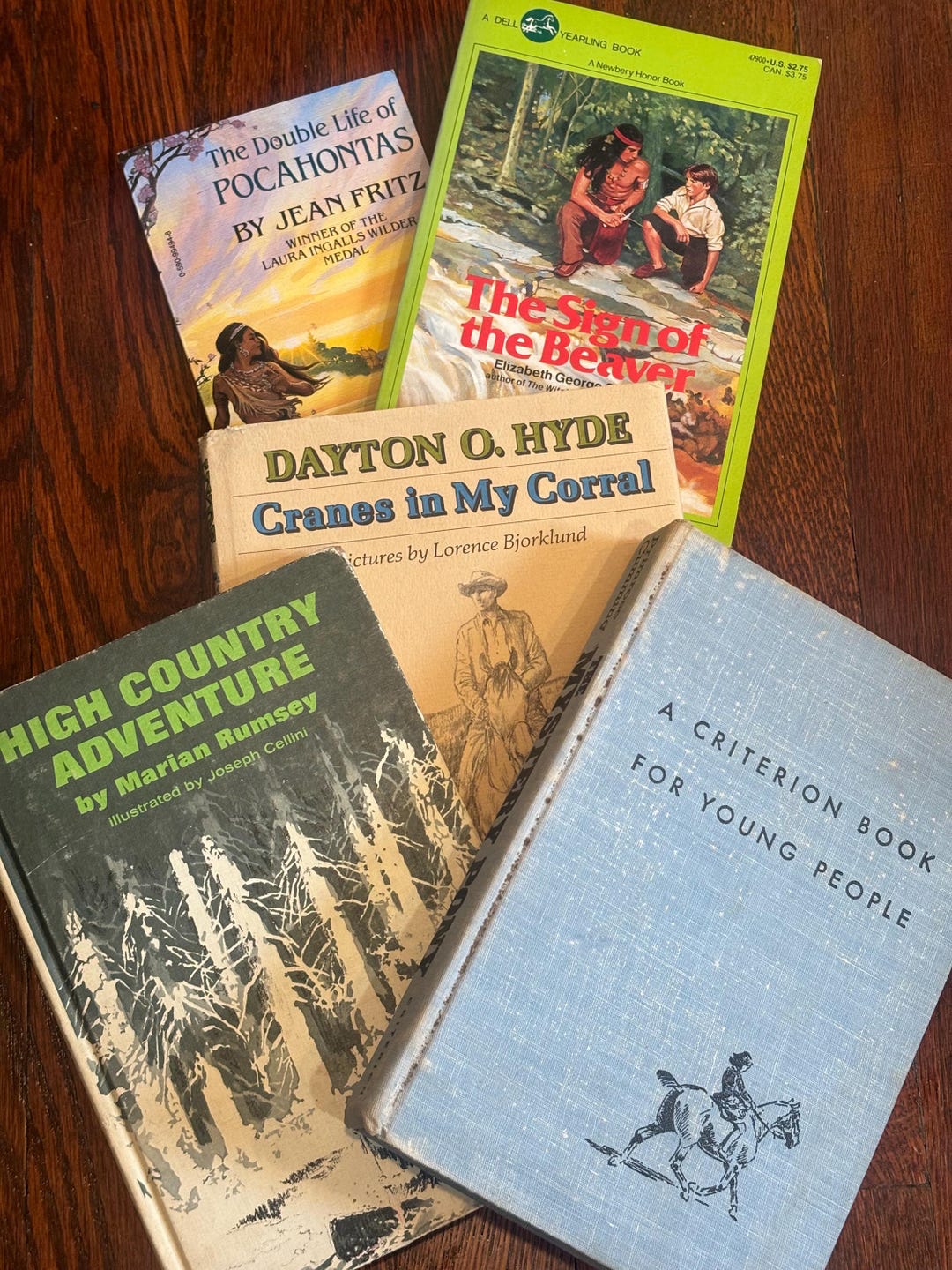 Vintage Western Teen Book Set 5 Books. High Country Adventure, Mystery ...