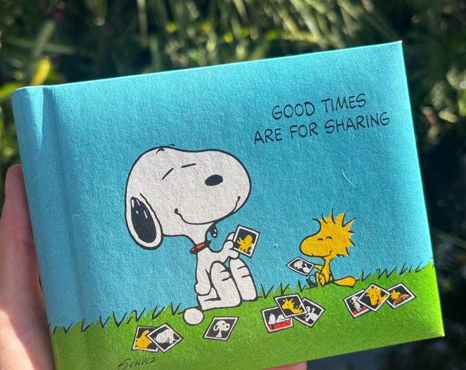 Vintage Snoopy and Woodstock Peanuts Small Photo Album From Hallmark ...