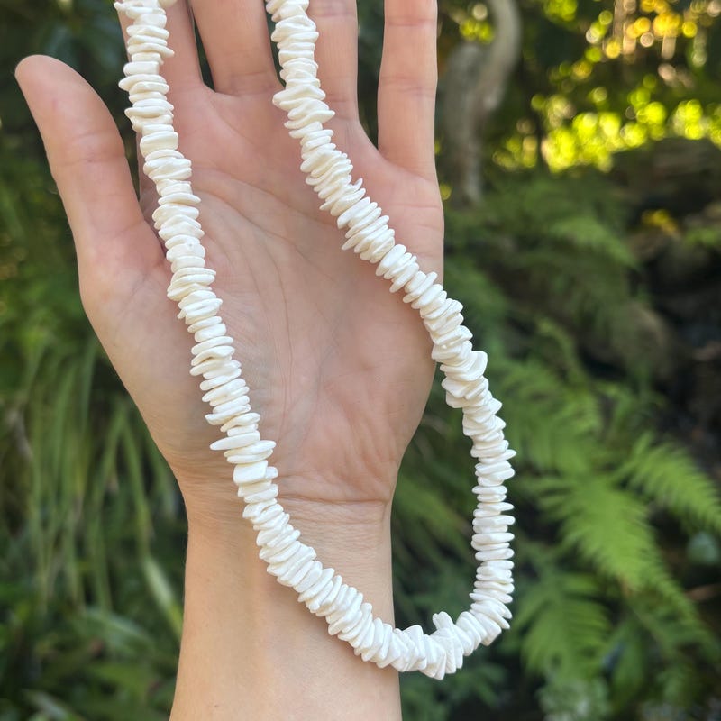 Puka Shells - Etsy