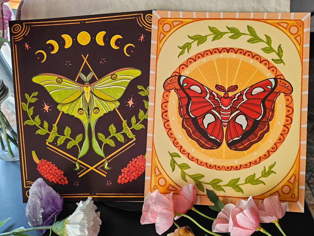 Moth Print | Art, Moths, Art Prints, Wall Decor - Etsy
