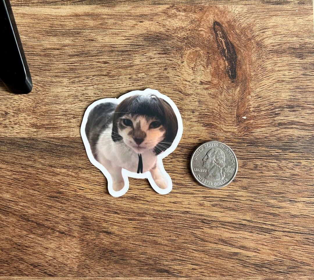 Rizzston Wig Sticker - Etsy