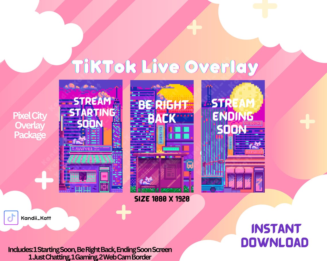 Tiktok Live Overlays Vtuber or Just Chatting - Etsy