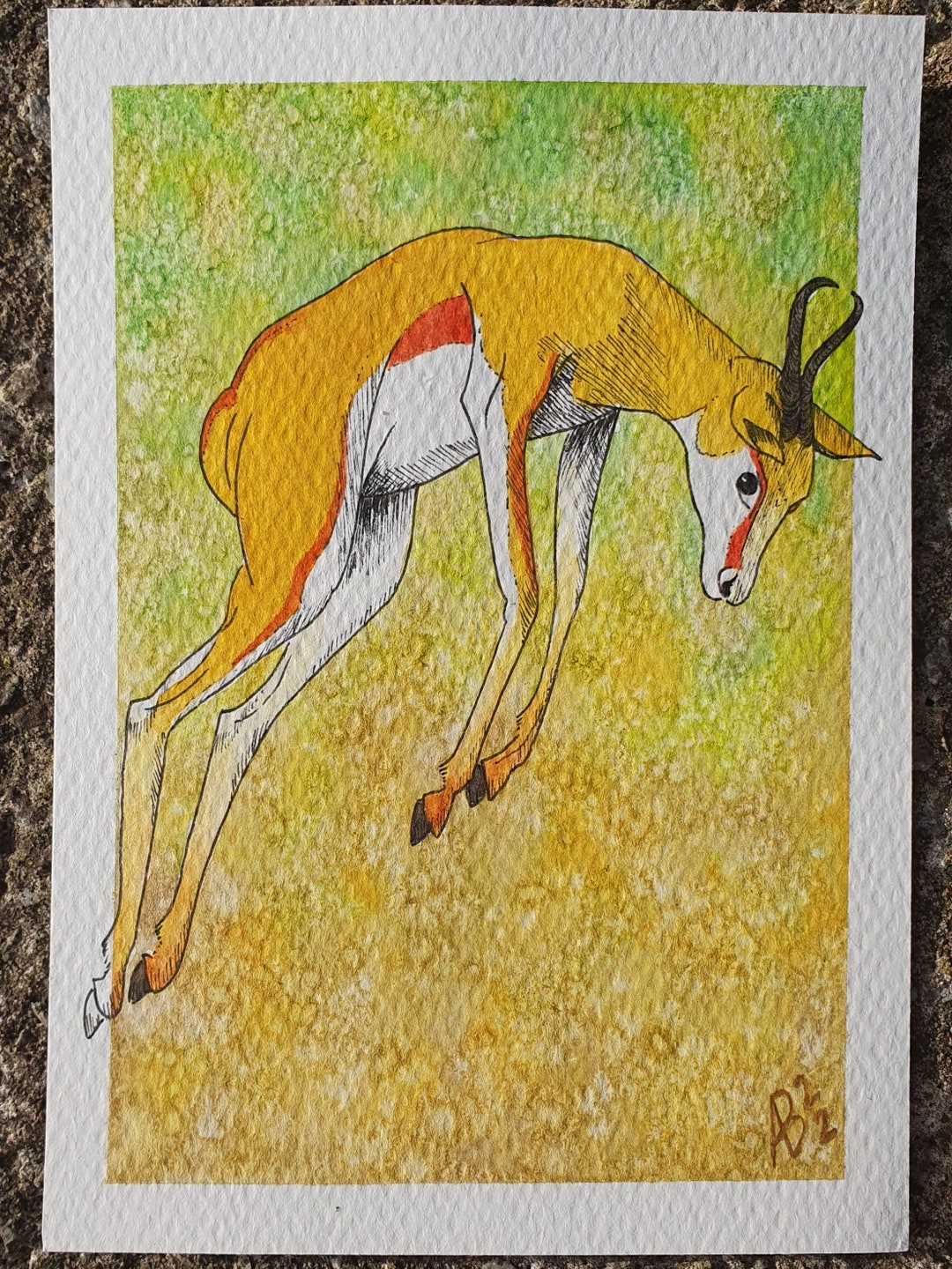 Springbok in Watercolour - Etsy