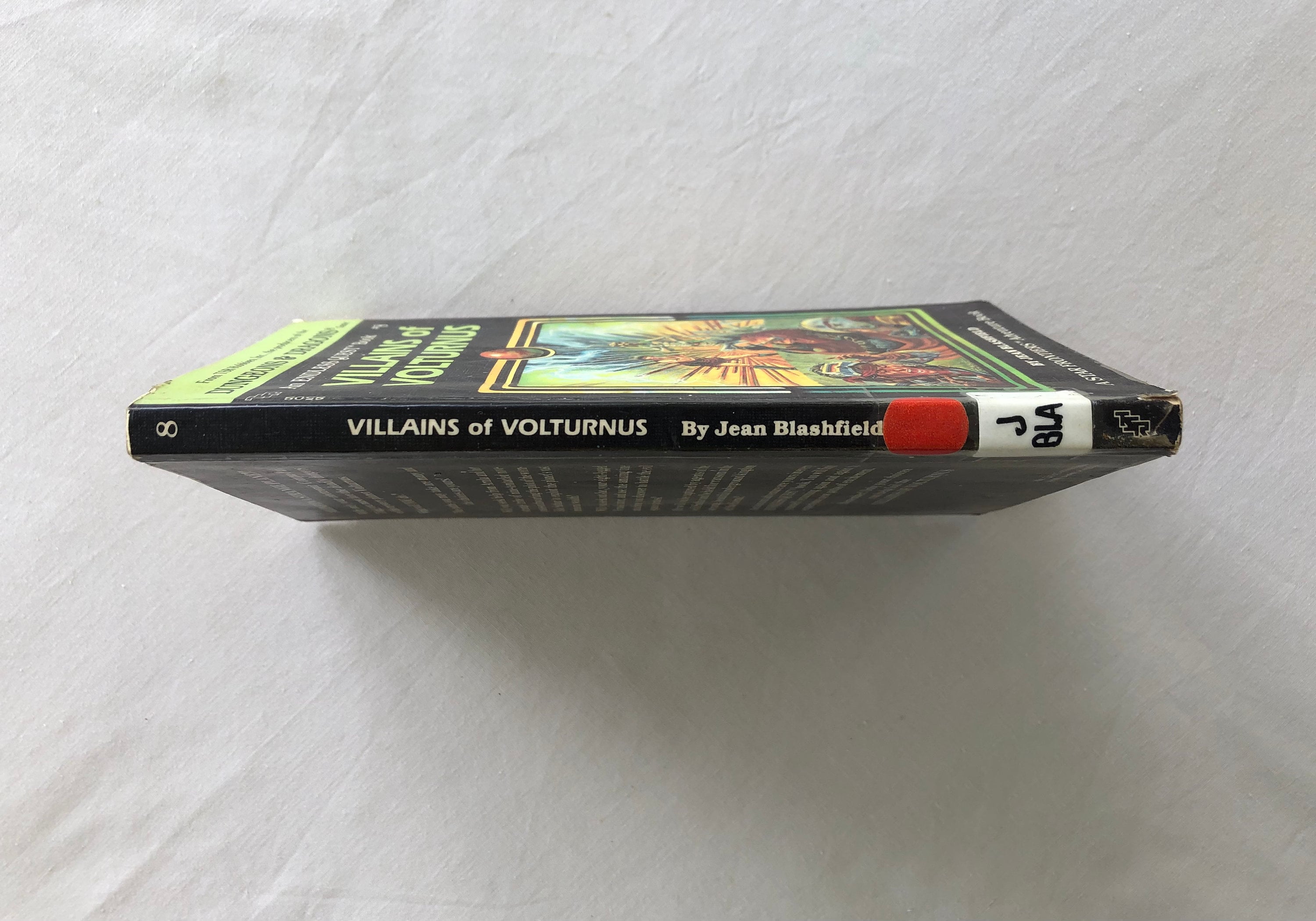 An Endless Quest Book 8: Villains of Volturnus Jean Blashfield 1983 ...